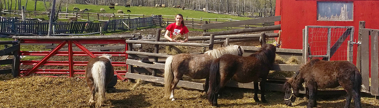 Home - Butterfield Acres